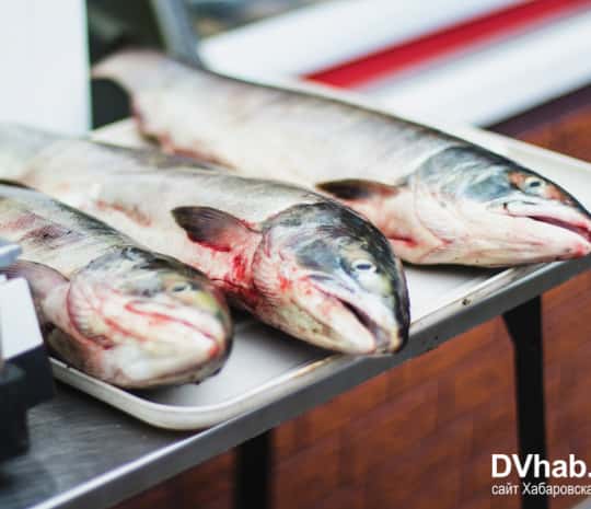 Новости Комсомольска-на-Амуре — Новости Хабаровска